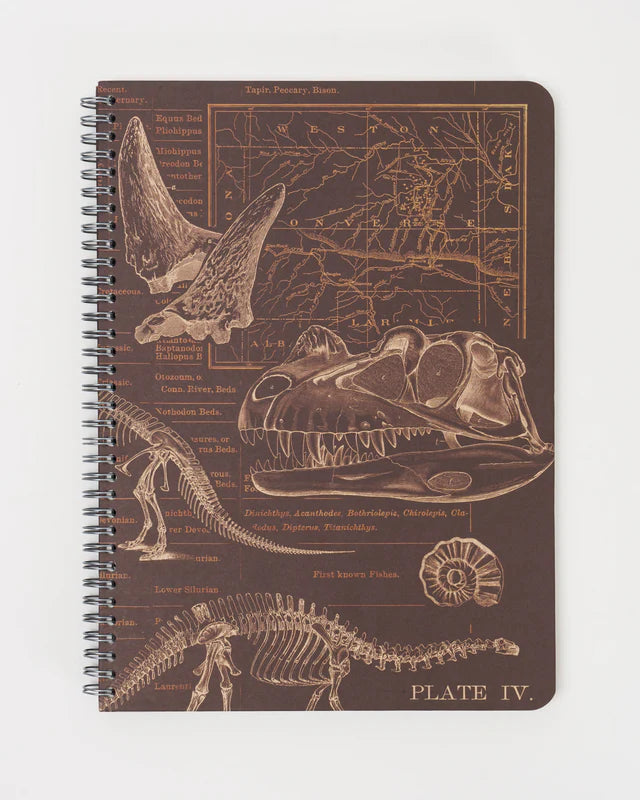 Dinosaur Notebook – Museum Shop at DMNS